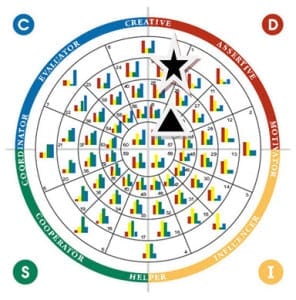 CriteriaOne DISC Personality Wheel | DISC Employee Assessment